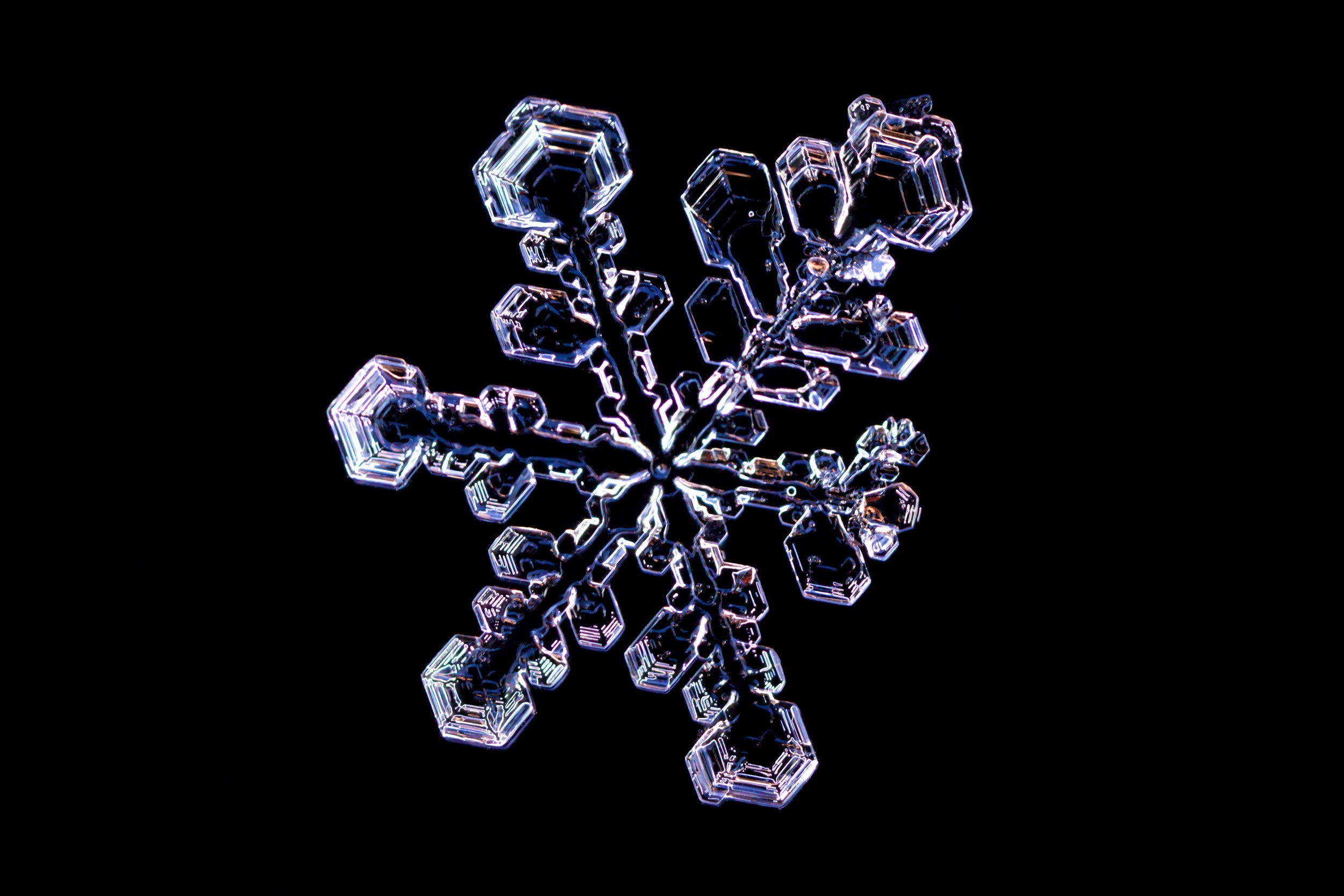 Fractal Frost – Nick Cahill Shop