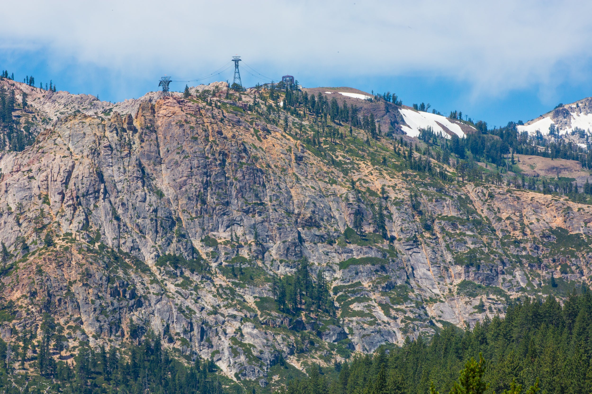 Tram Face Guardians – Nick Cahill Shop